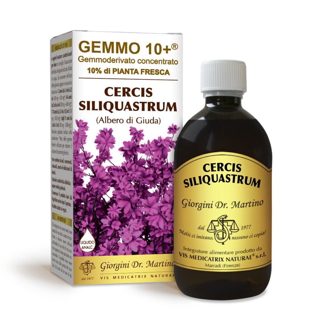 Gemmo 10+ Ribes Nero (Ribes nigrum) gemmoderivato 100ml dr.Giorgini ...
