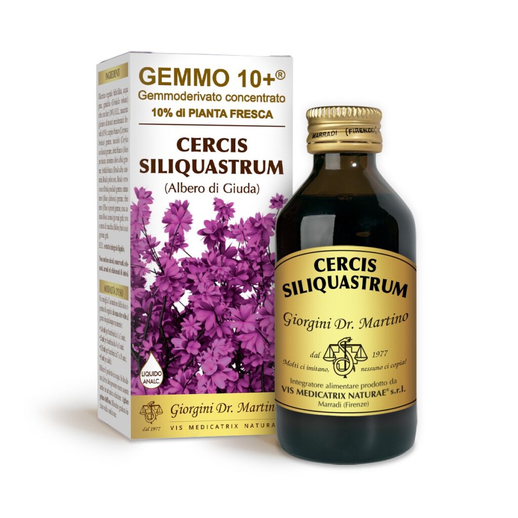 Gemmo 10+ Albero di Giuda (Cercis siliquastrum) gemmoderivato ...